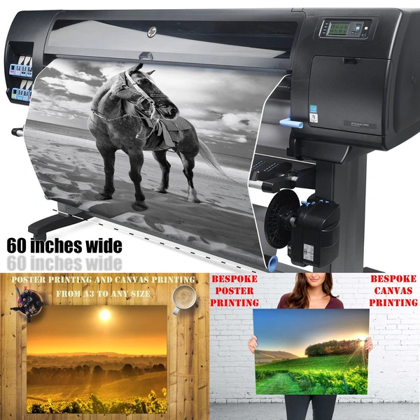 Matte Photo Paper Full Color Poster Printing - A0, A1, A2, A3, A4 Sizes ...